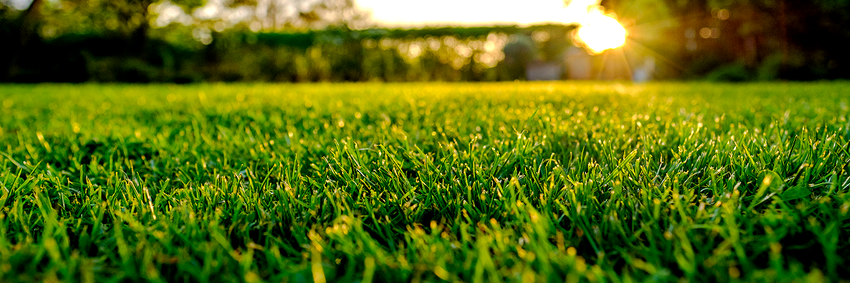 How OSU’s Turfgrass Management Certificate Helped Braden Level Up to a ...